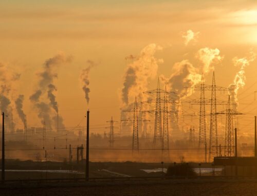Renewable Energy Statistics: Global Capacity and Growth
